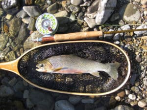 Kokanee Trolling Setup: How To Catch Kokanee Salmon - The Wild Provides
